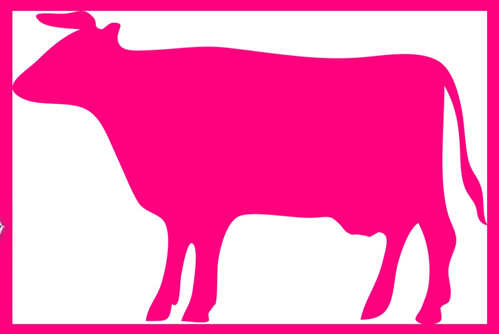 Vacas (una rosa) – A MI MANERA